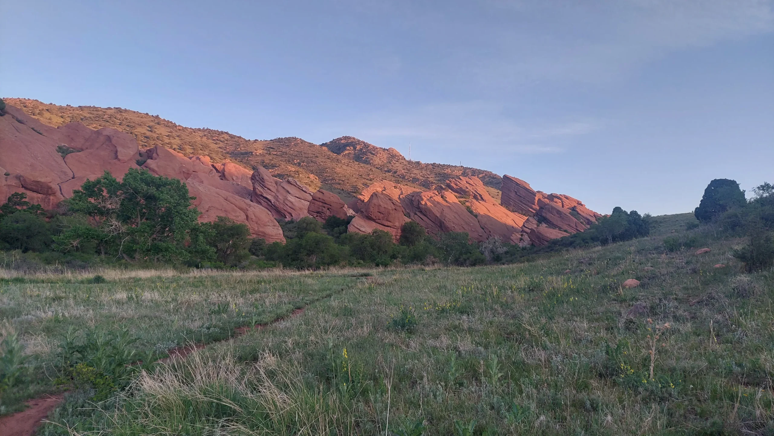 Program Overview | The Rose House in Colorado